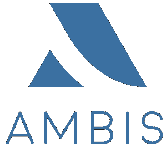 Ambis - Full Service Digital Agency